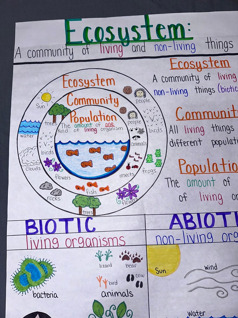 Introduction to Ecosystem Anchor Chart for Elementary, Middle and High ...