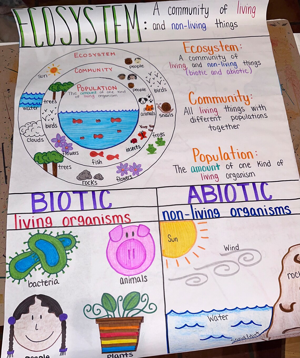 Introduction to Ecosystem Anchor Chart for Elementary, Middle and High ...