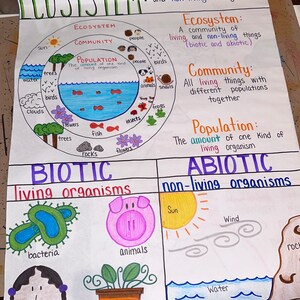 Introduction to Ecosystem Anchor Chart for Elementary, Middle and High ...