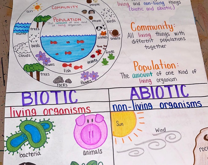 Introduction to Ecosystem Anchor Chart for Elementary, Middle and High ...