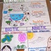 Introduction to Ecosystem Anchor Chart for Elementary, Middle and High ...