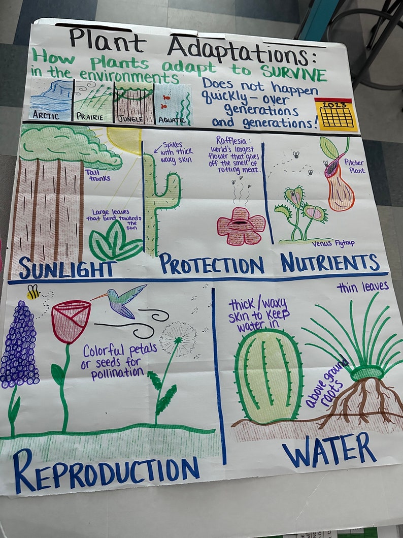 Buy Plant Adaptations Anchor Chart for 5th-8th Grade Online in India - Etsy