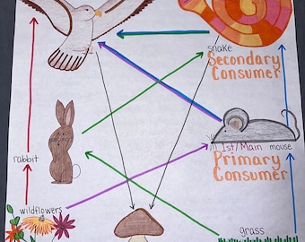 Properties of Matter Anchor Chart for Elementary, Middle and High ...