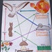 Food Web Anchor Chart for Elementary, Middle and High School - Etsy