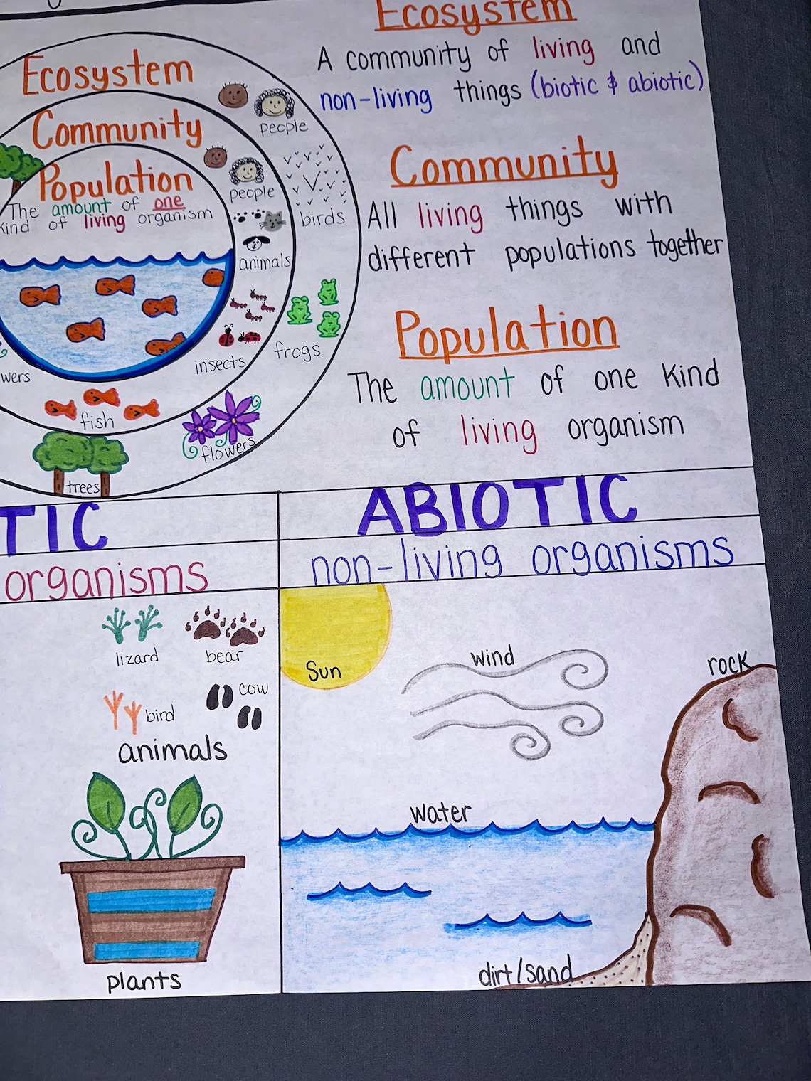 Introduction to Ecosystem Anchor Chart for Elementary, Middle and High ...