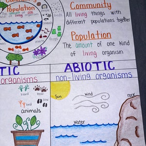 Introduction to Ecosystem Anchor Chart for Elementary, Middle and High ...
