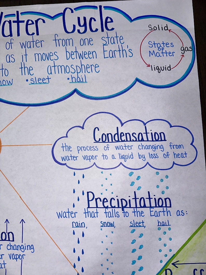 Water Cycle Anchor Chart for Elementary, Middle and High School - Etsy