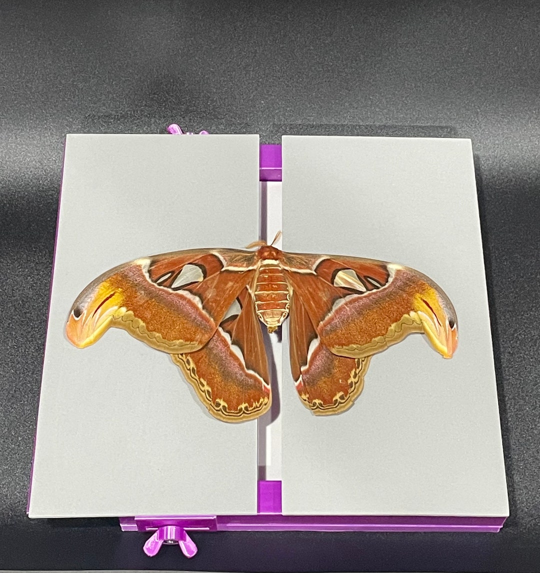 3D Printed Adjustable Extra Wide Flat Spreading Board - Etsy