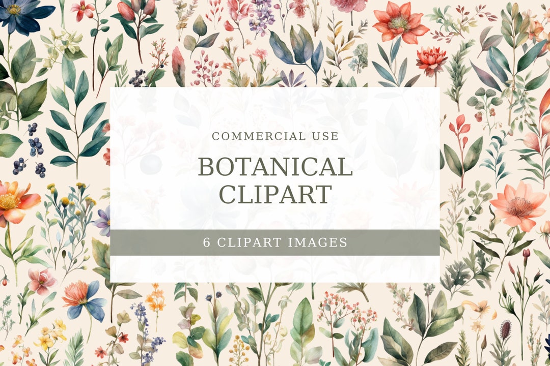 Watercolor Botanical Clipart, Flower Clipart, Wedding Clipart, Spring ...