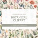Watercolor Botanical Clipart, Flower Clipart, Wedding Clipart, Spring ...