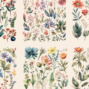 Watercolor Botanical Clipart, Flower Clipart, Wedding Clipart, Spring ...