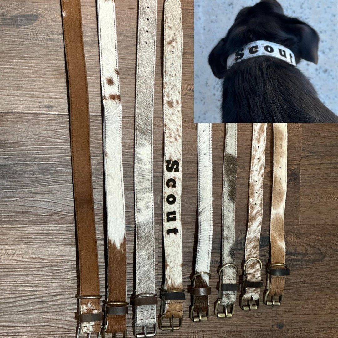 Personalized Cowhide Dog Collar Cowhide Dog Collar Branded - Etsy