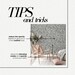 PSD Wallpaper Mockup for Surface Pattern Design Interior Wall Covering ...