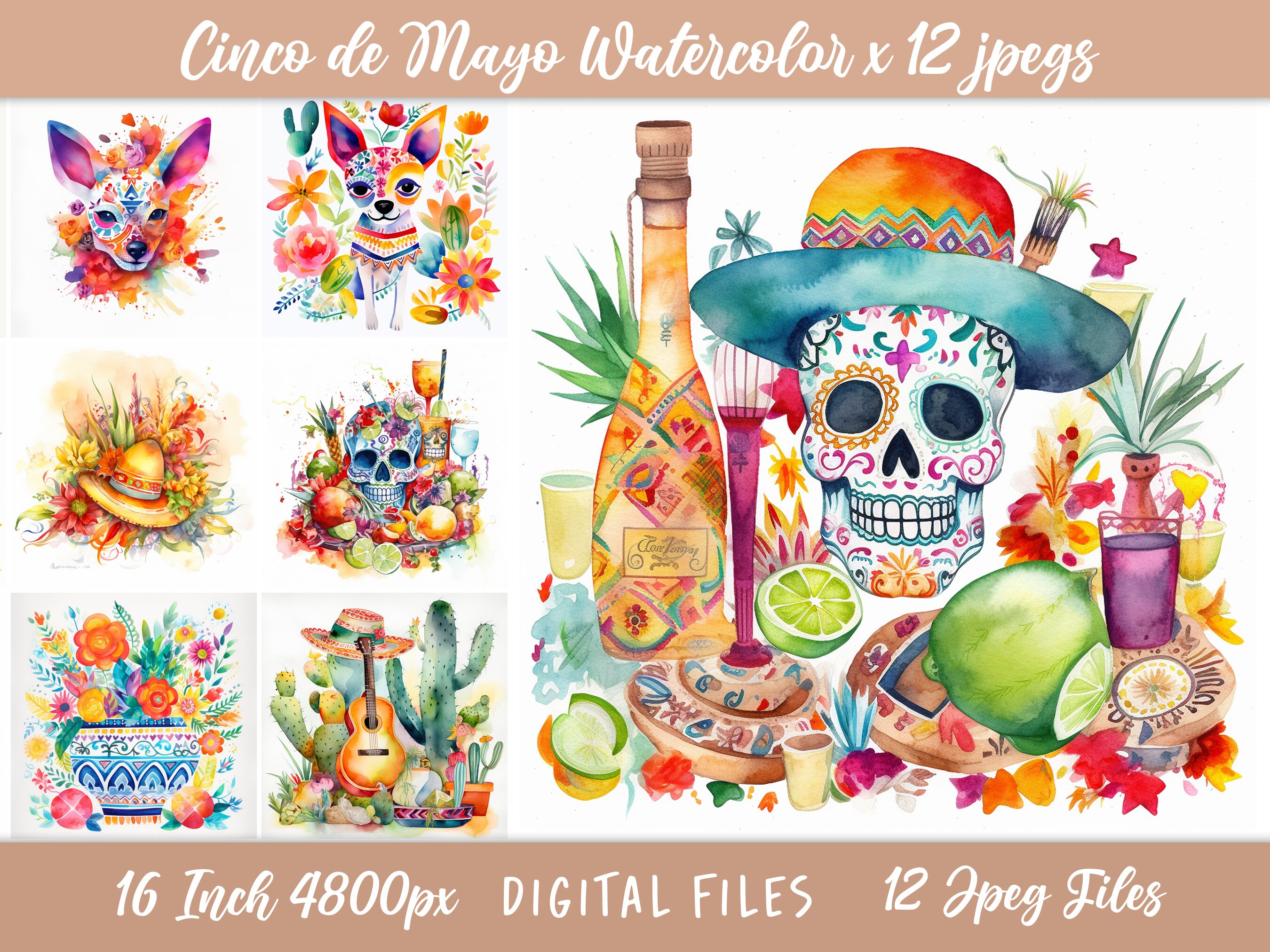 Cinco De Mayo Clipart, Mexican Clipart, 5th of May Clipart, Digital ...