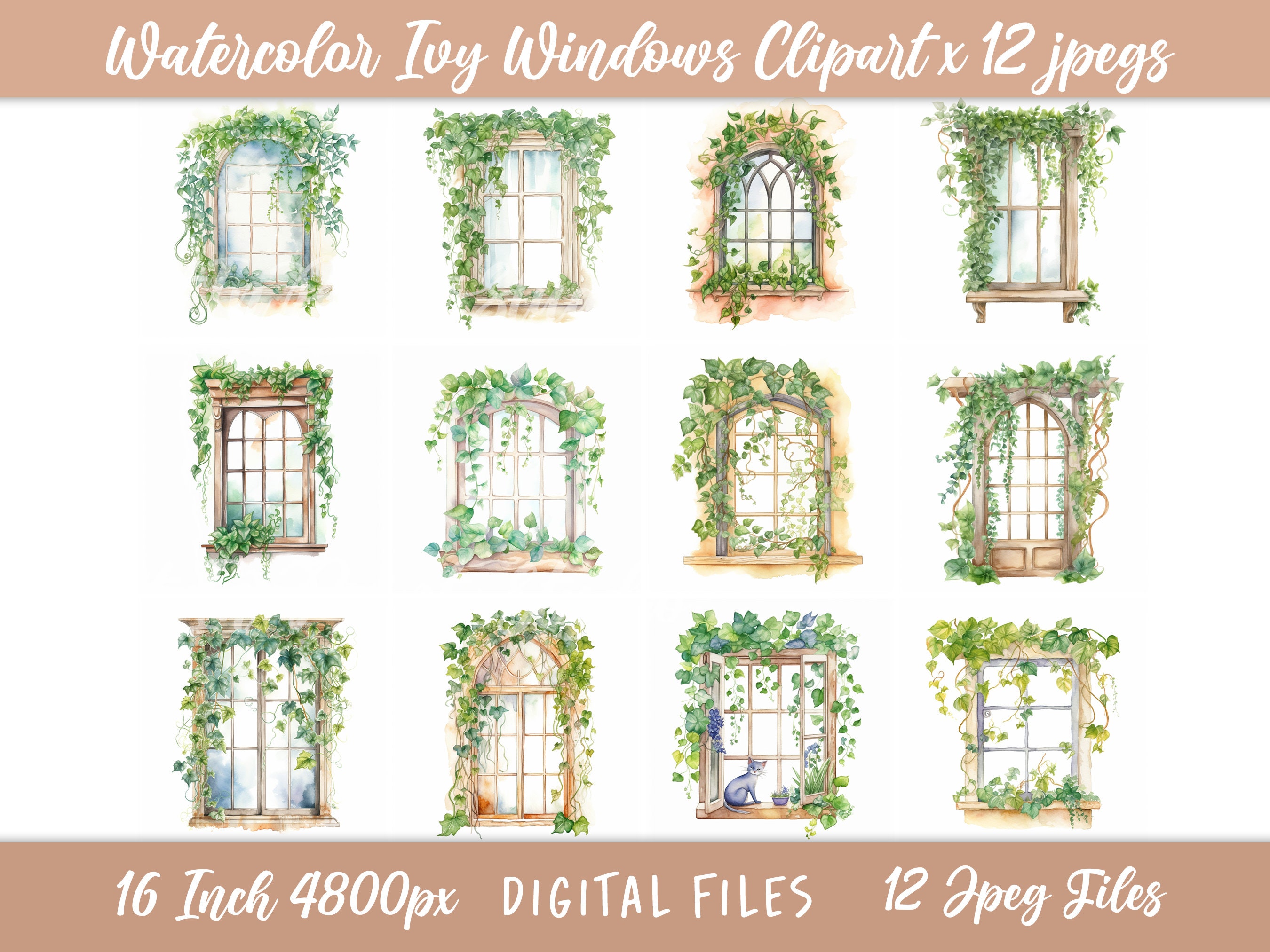 Window Watercolor Clipart, Window Clipart, Ivy Windows, Commercial Use ...