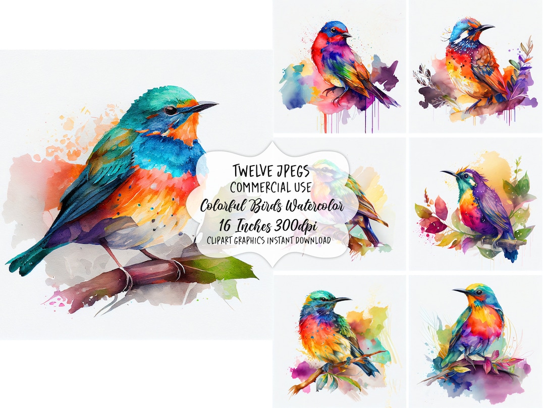 Colorful Birds Clipart, Watercolor Clip Art, Digital Download, Card ...