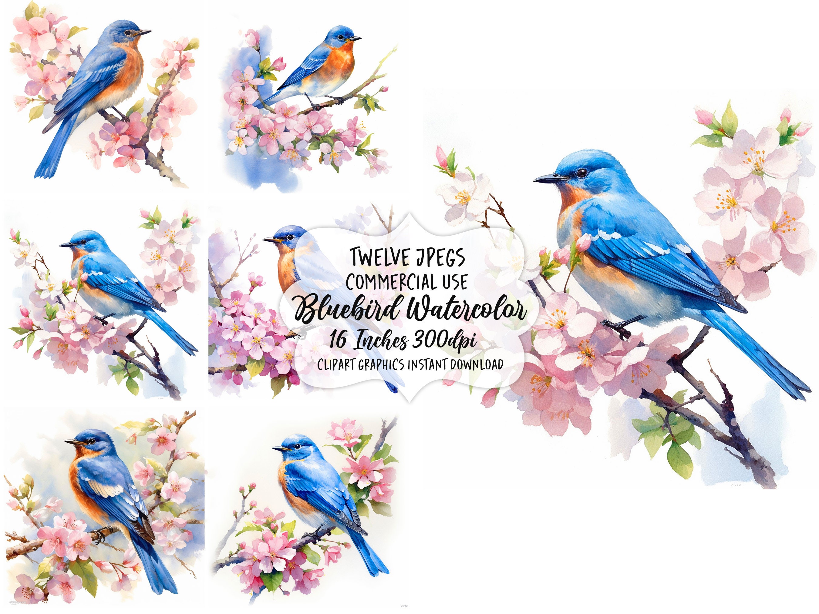 Cute Bluebird Clipart, Birds Digital Illustration, Watercolor Bird ...