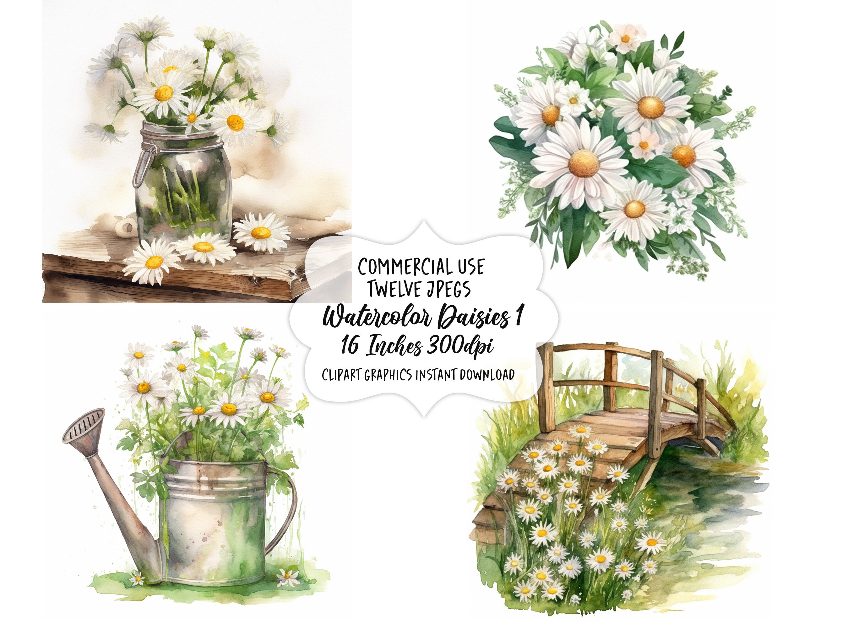 Daisy Clipart Bundle, Flowers Clipart Sublime, Daisy Bouquet Clip Art ...