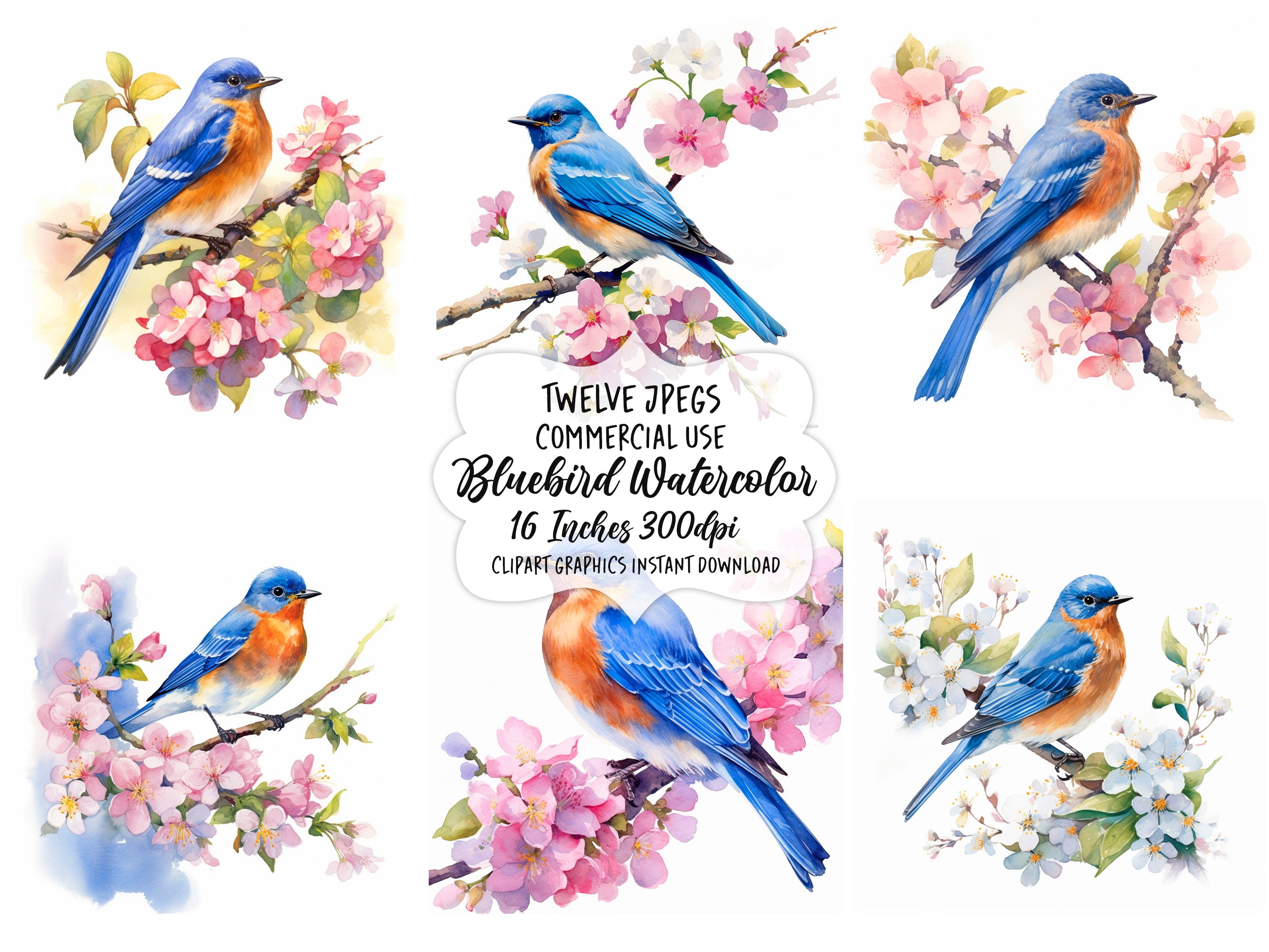 Cute Bluebird Clipart, Birds Digital Illustration, Watercolor Bird ...