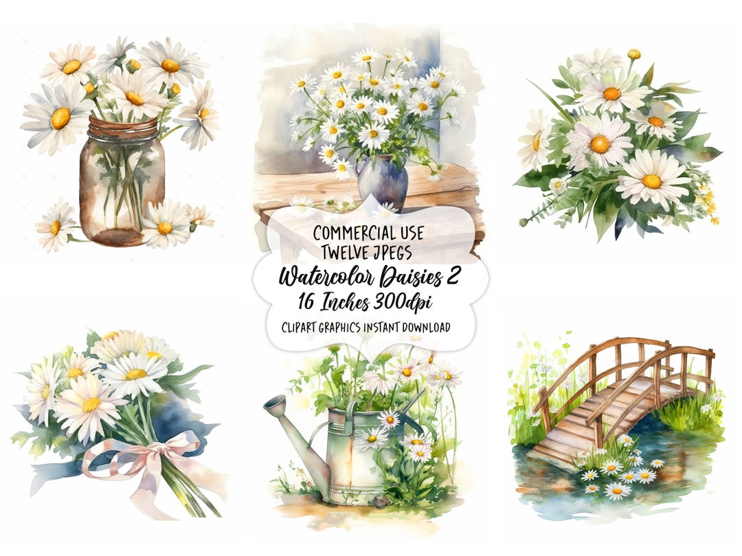 Daisy Clipart Bundle, Flowers Clipart Sublime, Wild Flowers Clip Art ...