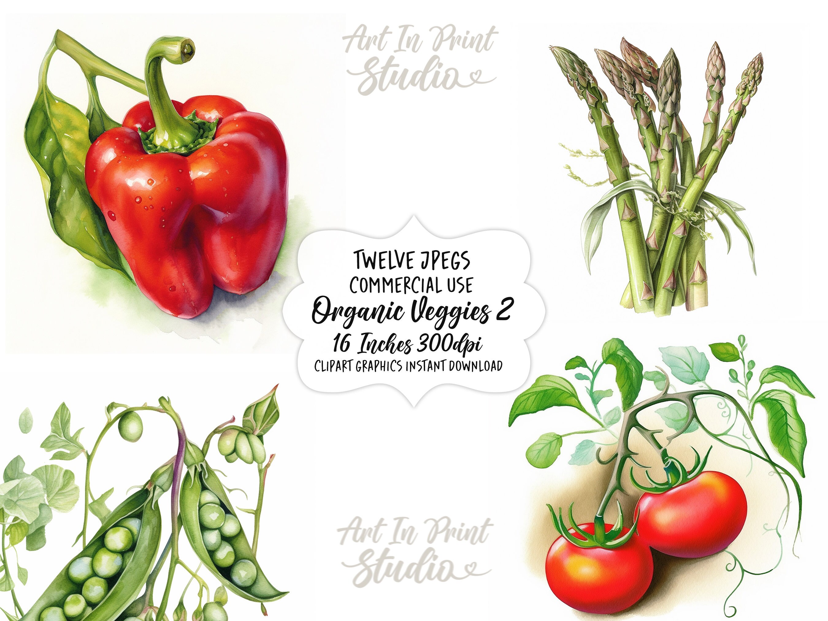 Vegetables Clipart, Vegetable Clip Art, Digital Download, Commercial ...