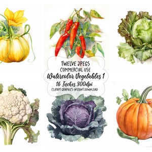Vegetables Clipart, Vegetable Clip Art, Digital Download, Commercial ...