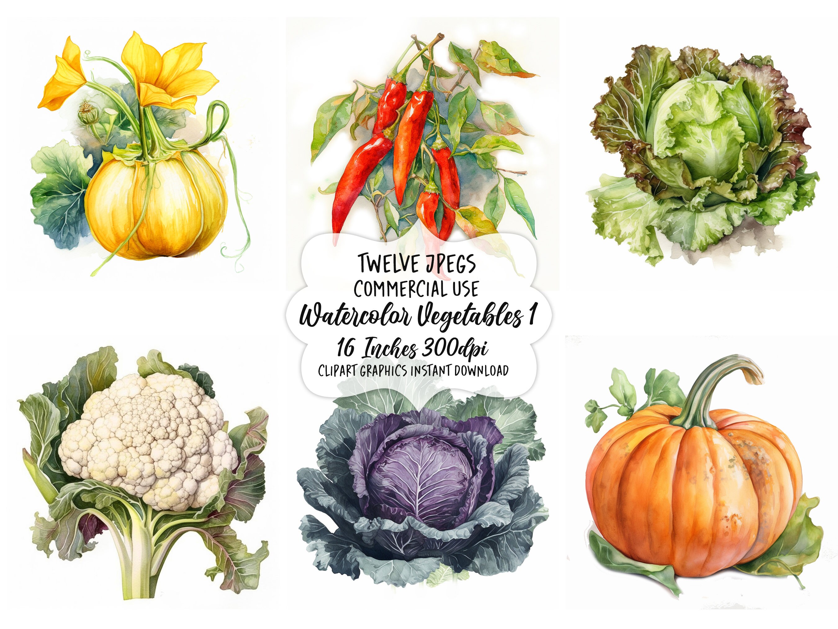 Vegetables Clipart, Vegetable Clip Art, Digital Download, Commercial ...