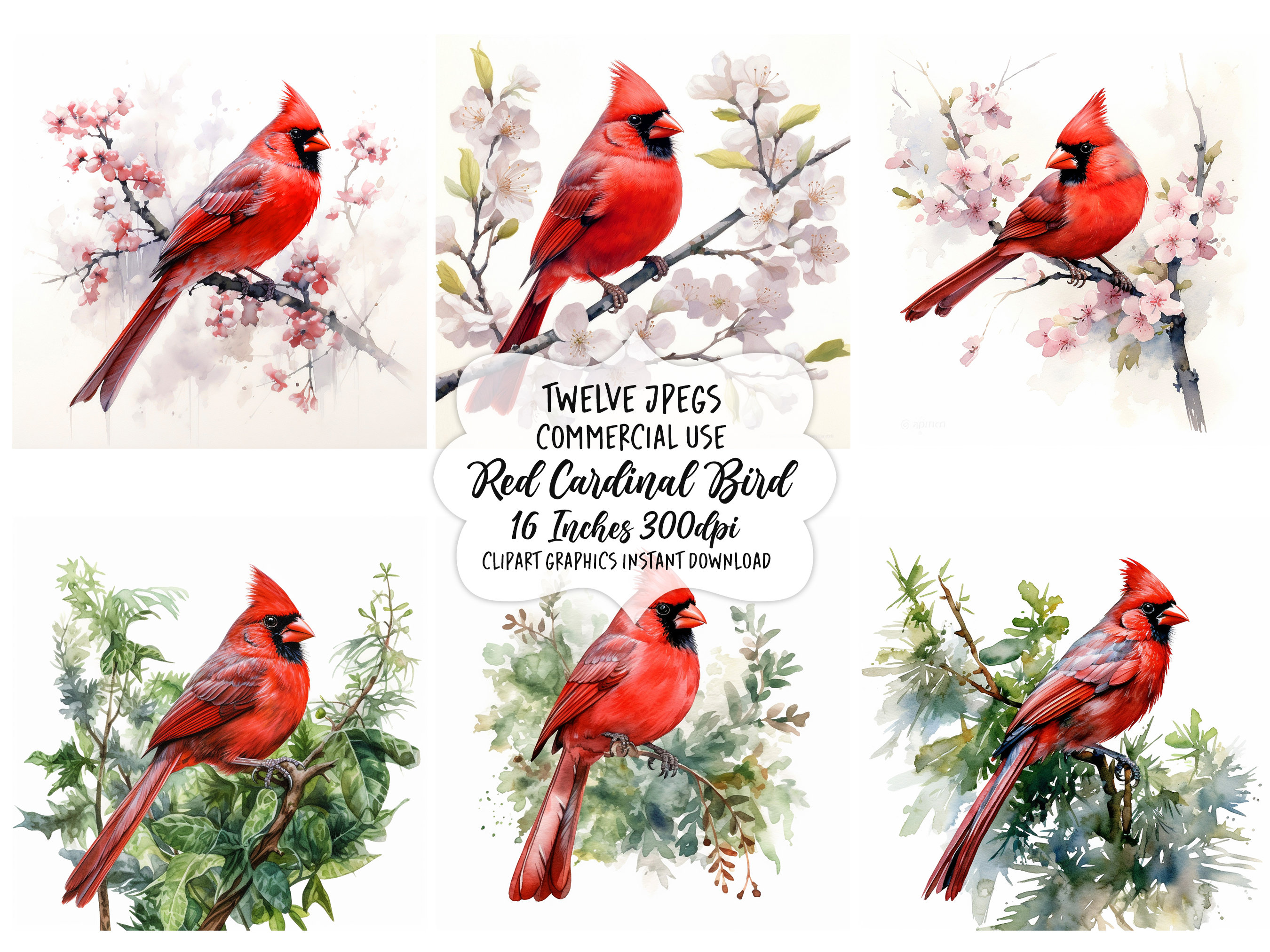Red Cardinal Birds Watercolor Clipart, Digital Download, Card Making ...