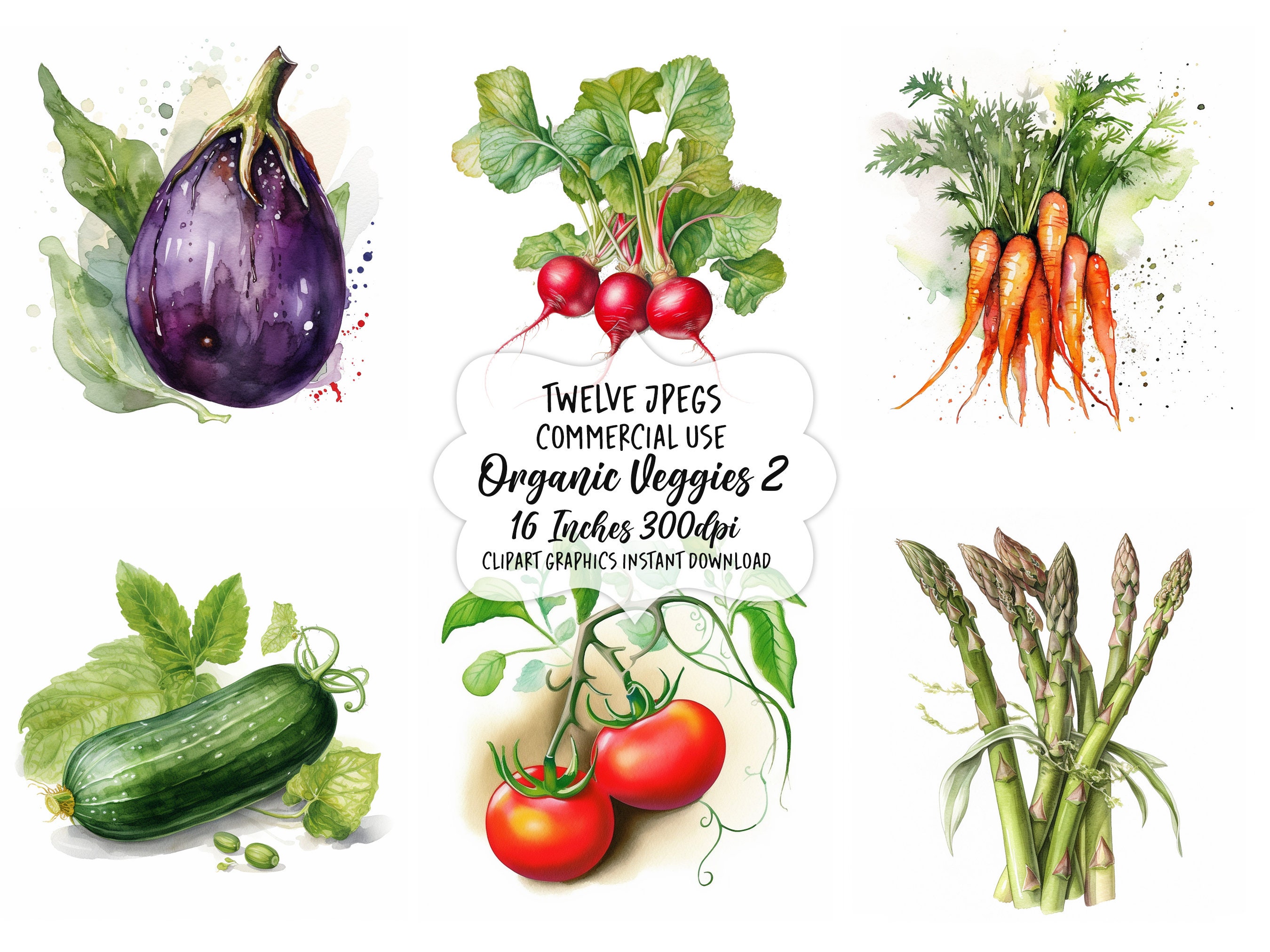 Vegetables Clipart, Vegetable Clip Art, Digital Download, Commercial ...