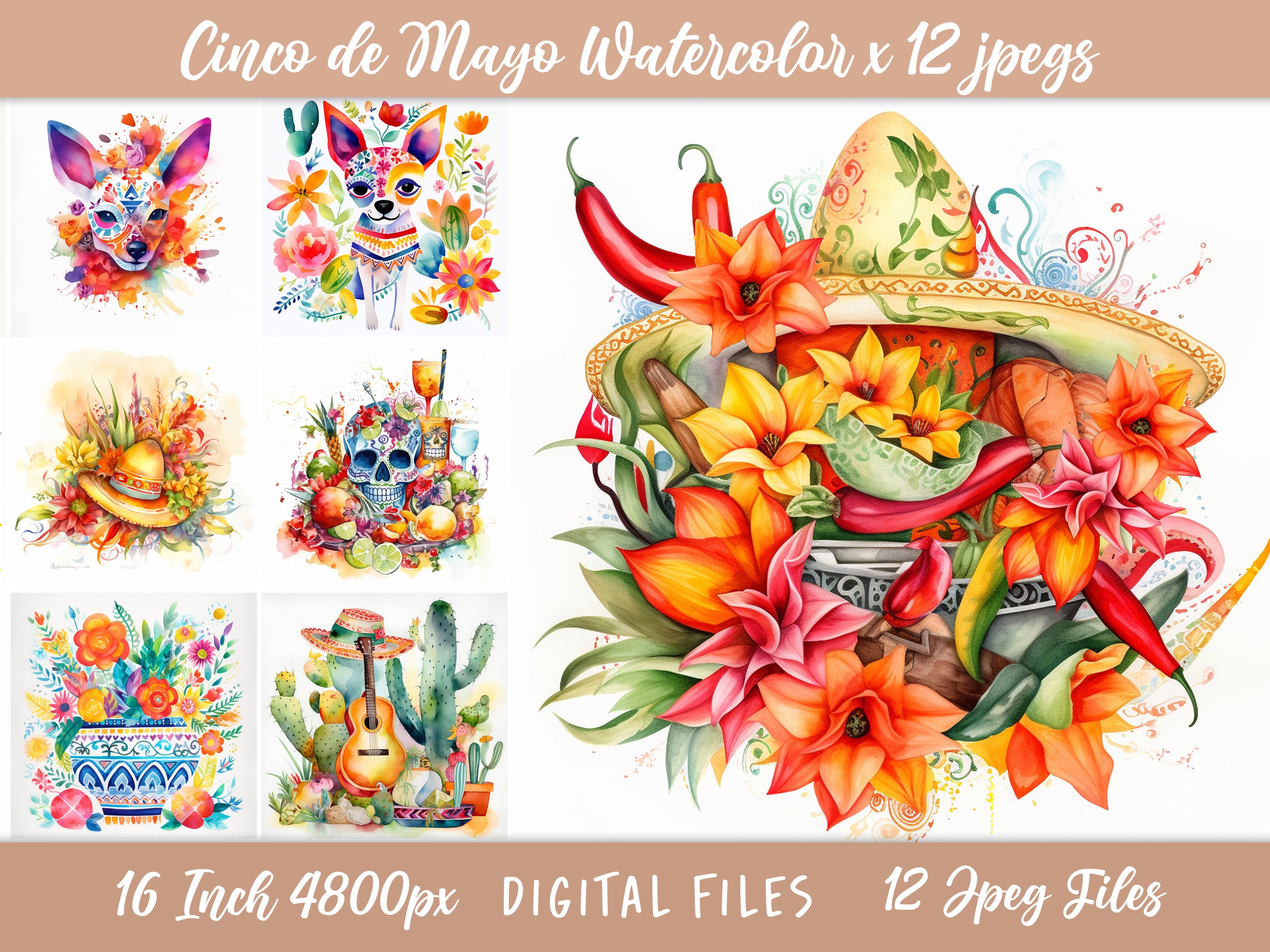 Cinco De Mayo Clipart, Mexican Clipart, 5th of May Clipart, Digital ...