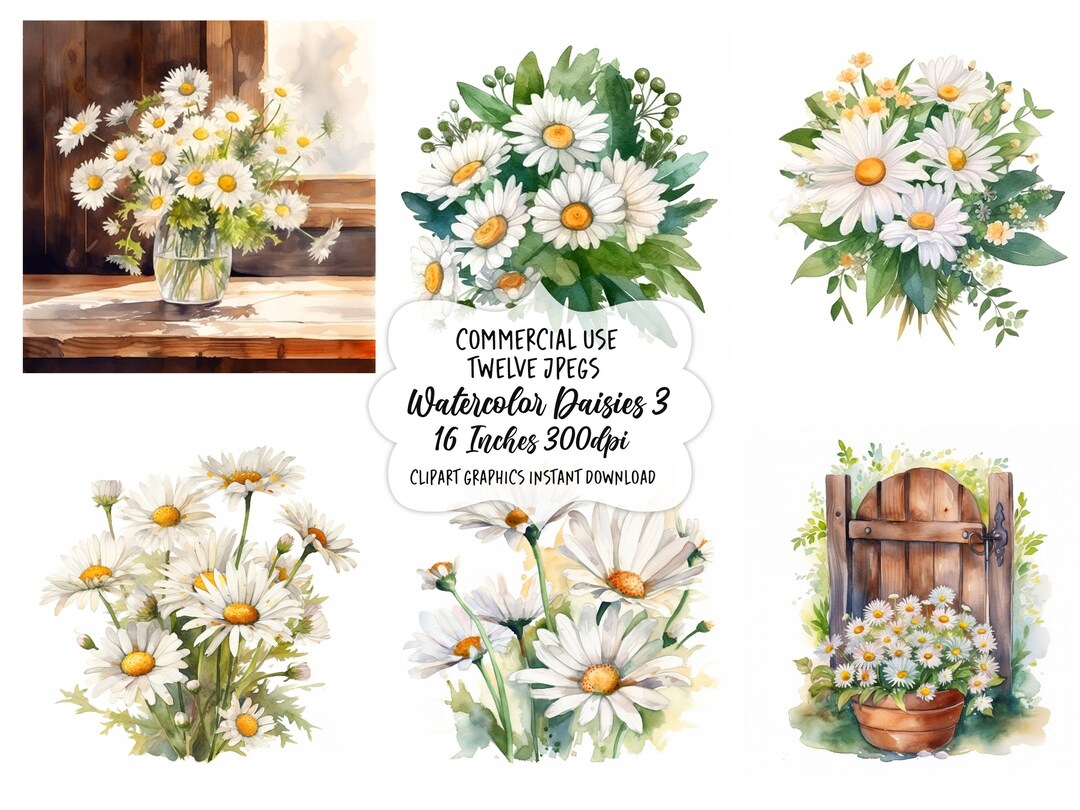 Daisy Clipart Bundle, Flowers Clipart Sublime, Daisy Bouquet Clip Art ...