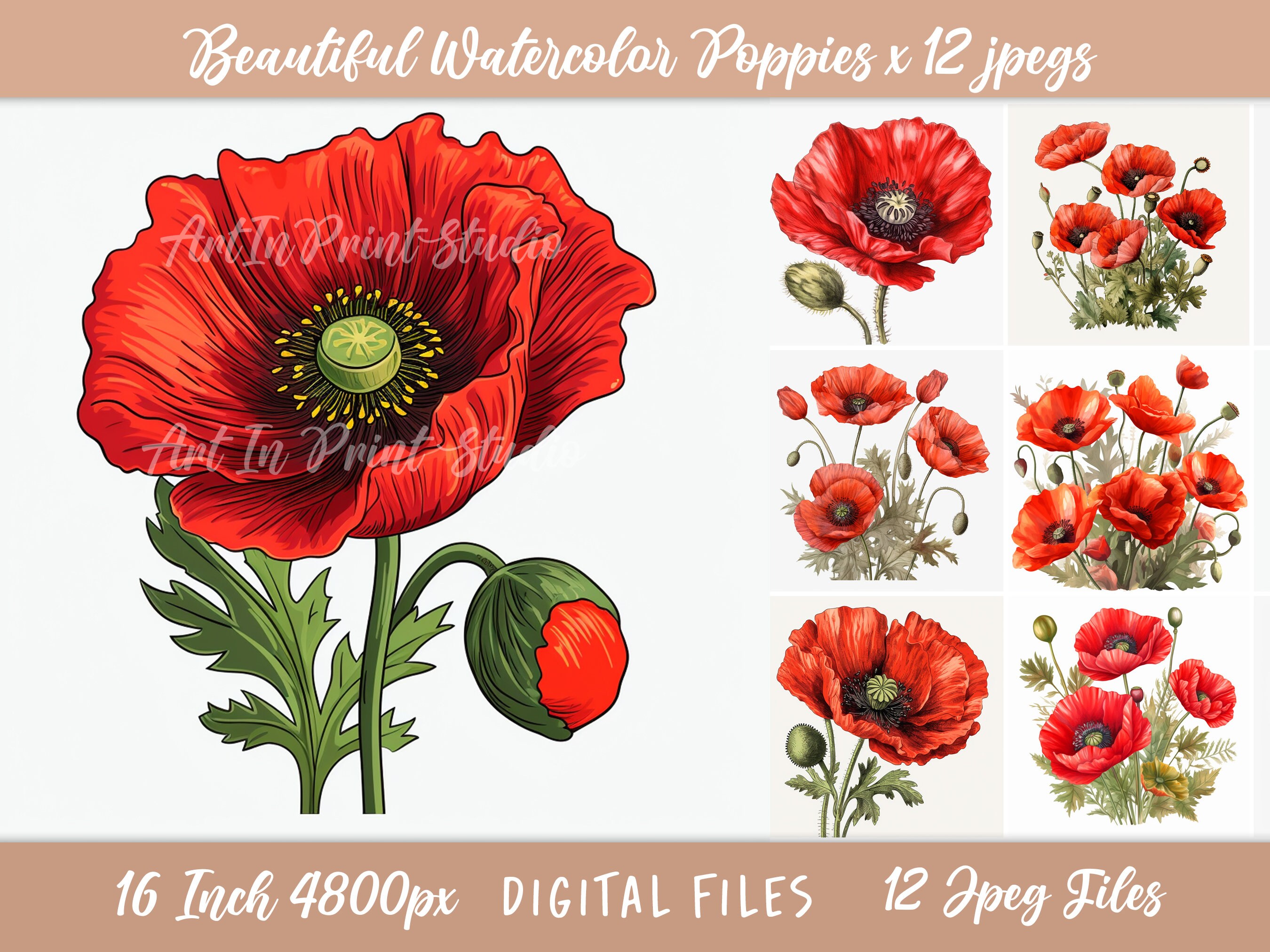 Poppy Clipart Poppies Clipart Poppy Clipart Bundle Poppies - Etsy