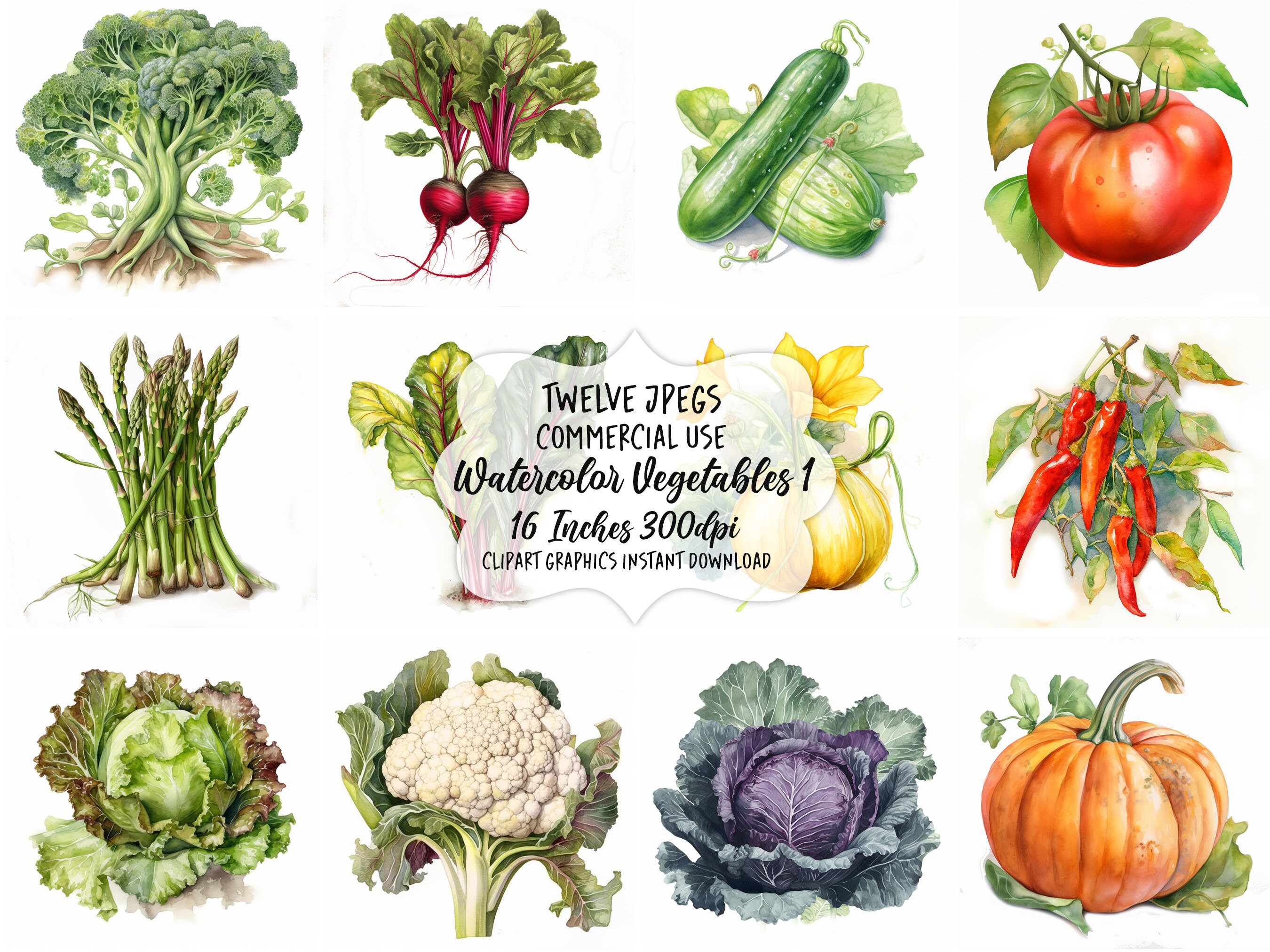 Vegetables Clipart, Vegetable Clip Art, Digital Download, Commercial ...