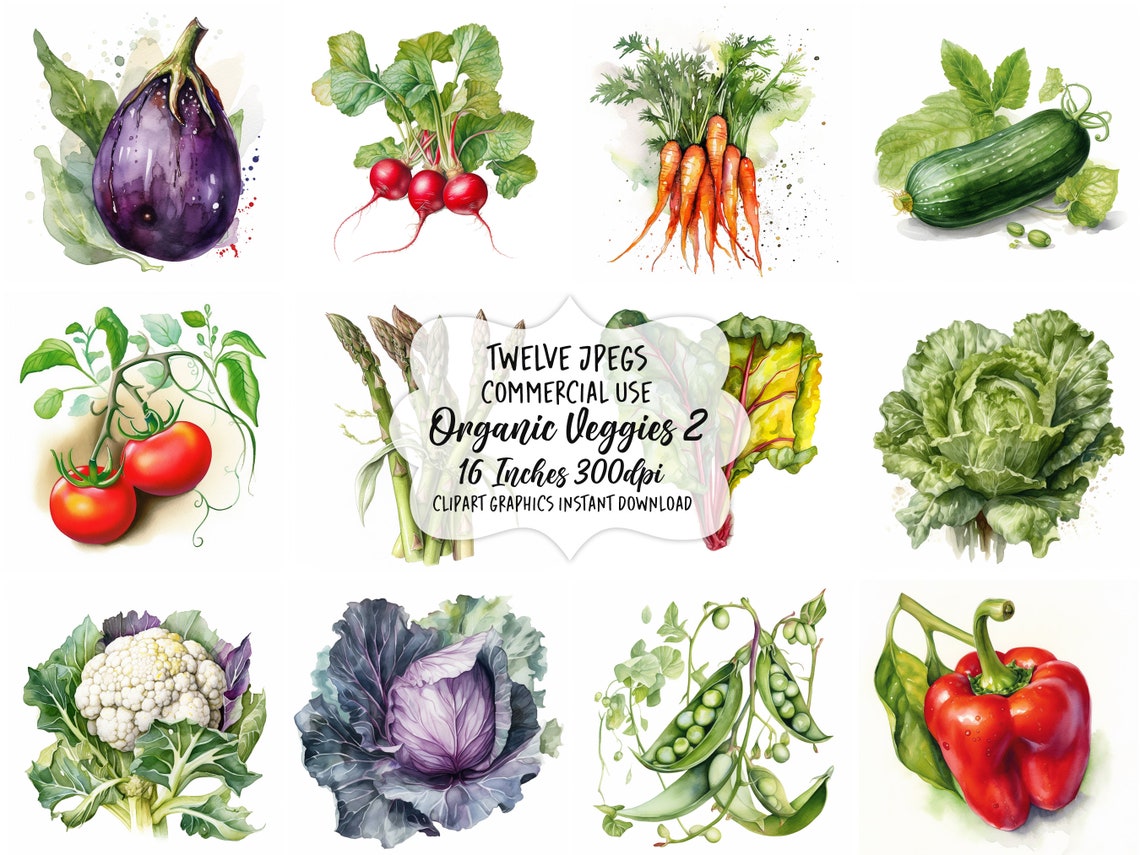 Vegetables Clipart, Vegetable Clip Art, Digital Download, Commercial ...