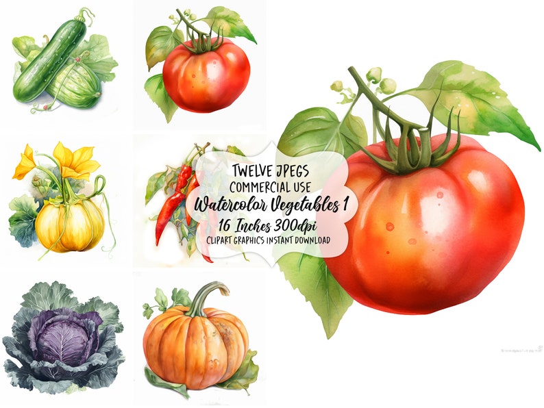 Vegetables Clipart, Vegetable Clip Art, Digital Download, Commercial ...