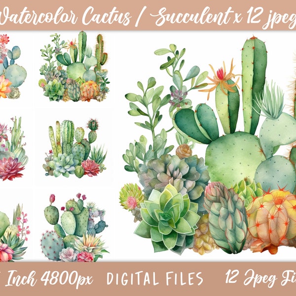 Cactus Clipart - Etsy
