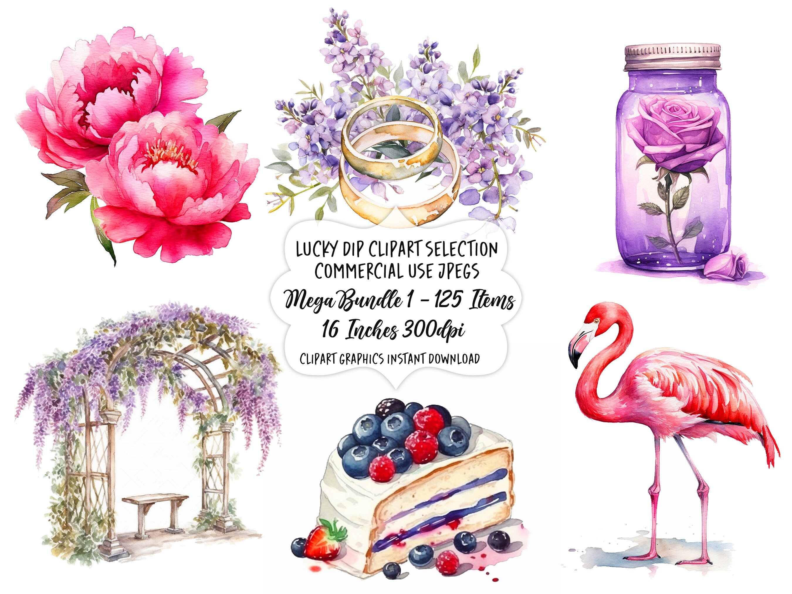 MEGA Clipart Bundle Mixed Clip Art Set Card Making - Etsy