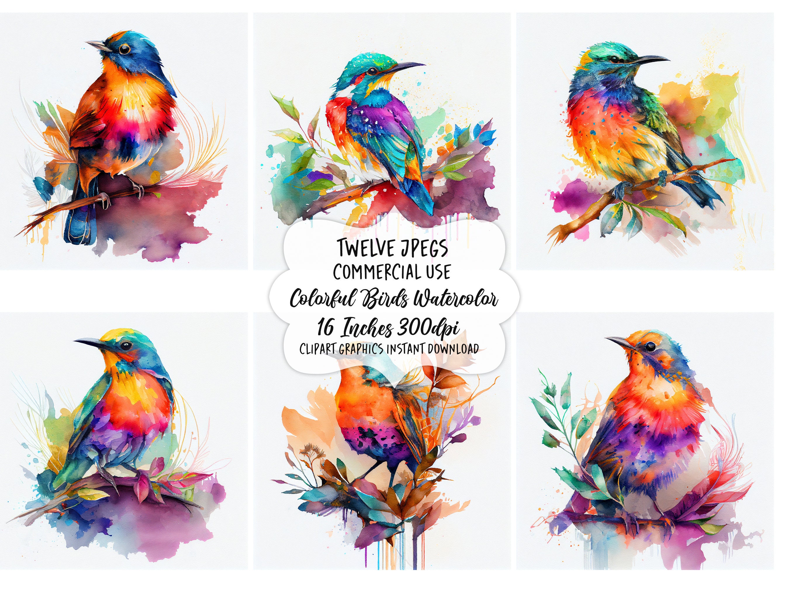 Colorful Birds Clipart Watercolor Clip Art Digital Download - Etsy