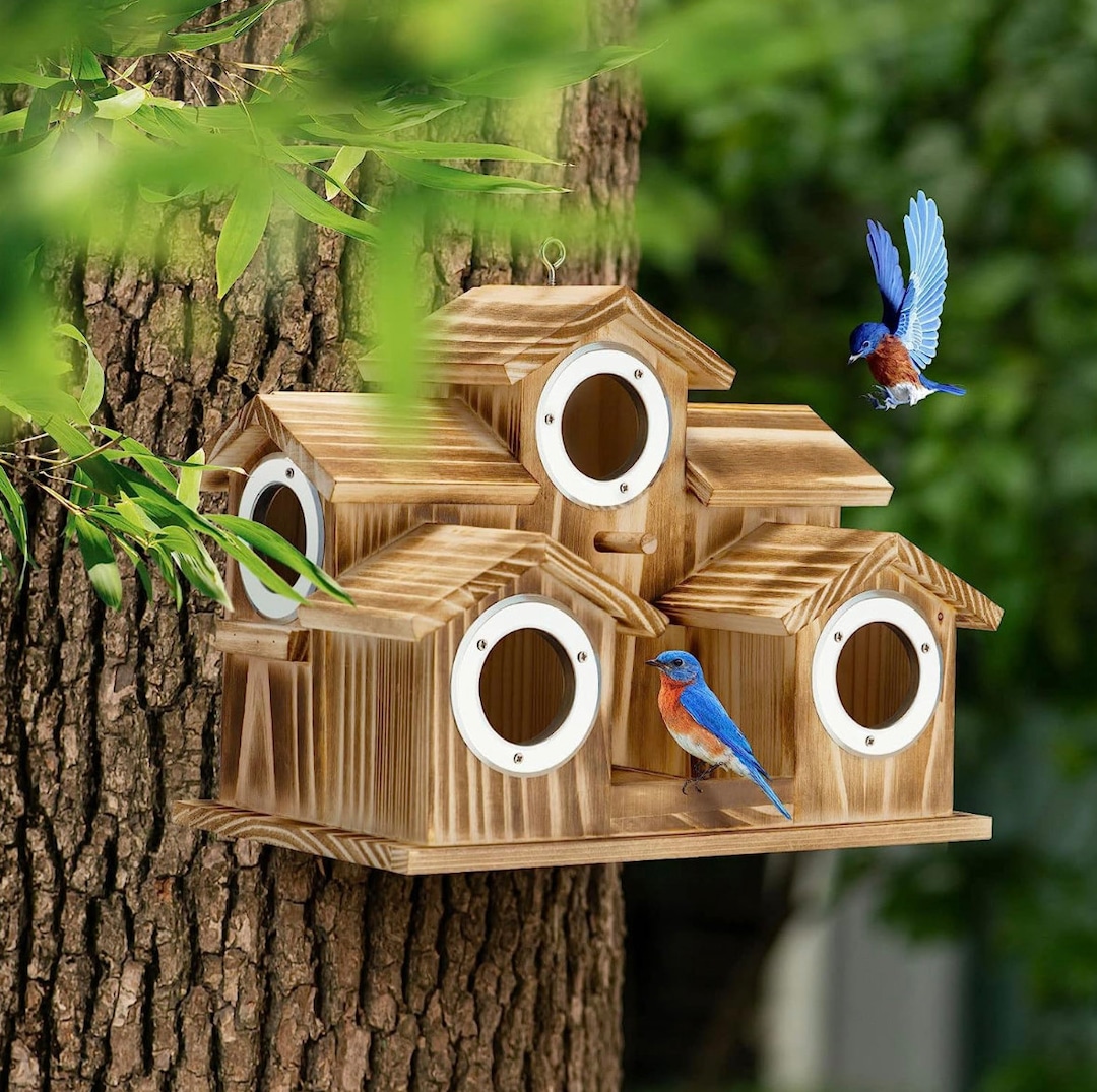 Bird House for Outdoors 5 Hole Wooden Natural Finch Bluebird - Etsy