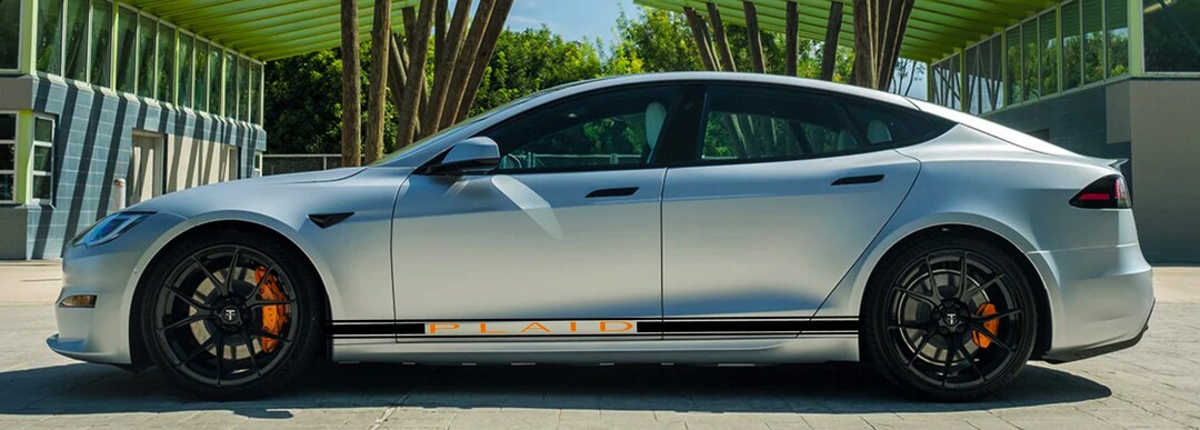 Tesla Model S 2020-2024 PLAID Two Color Side Door Stripe - Etsy