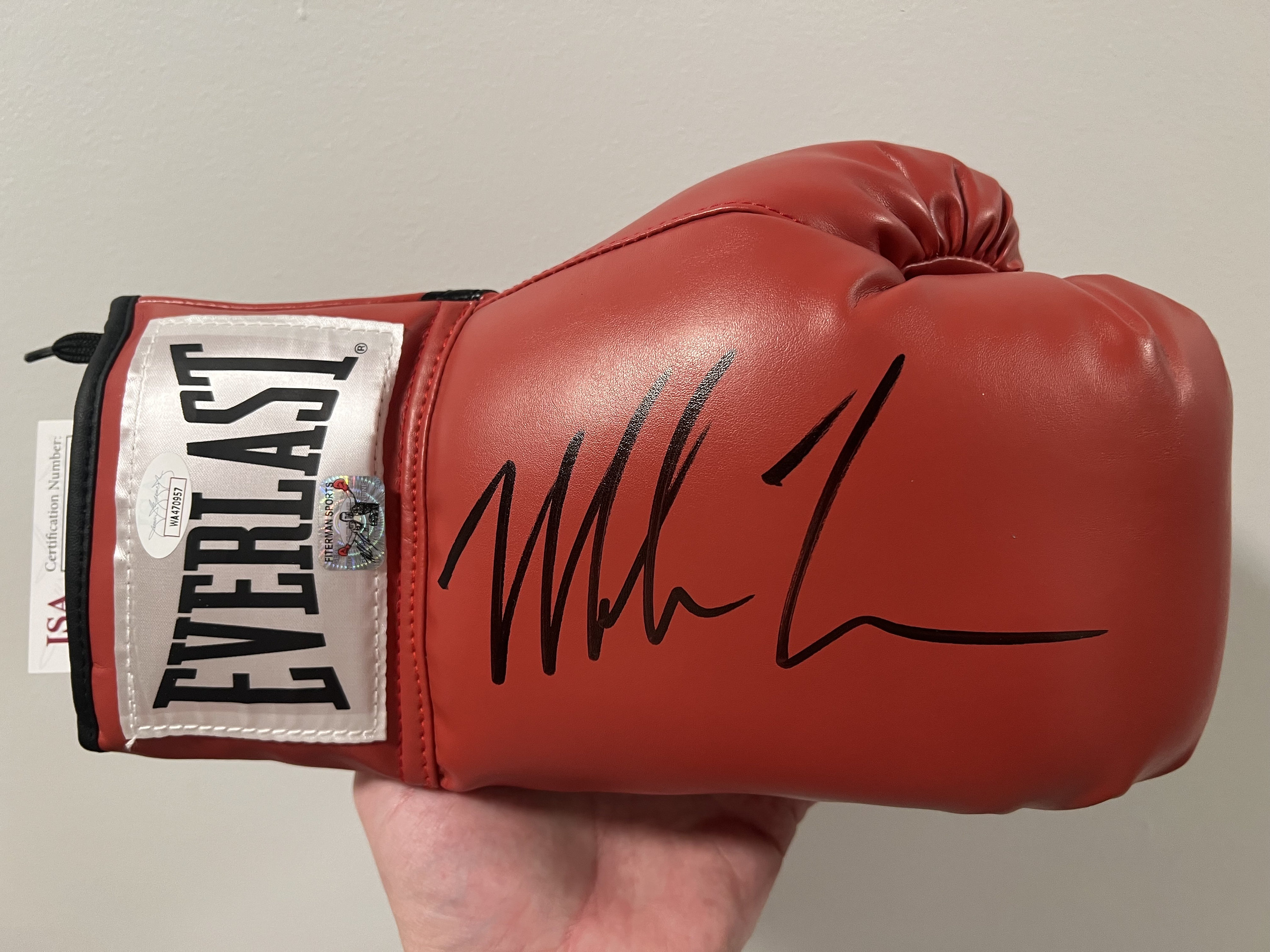 Everlast Boxing Gloves Vector