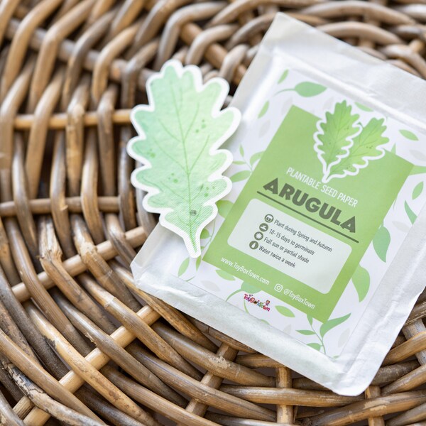 Plantable Seed Paper - Etsy