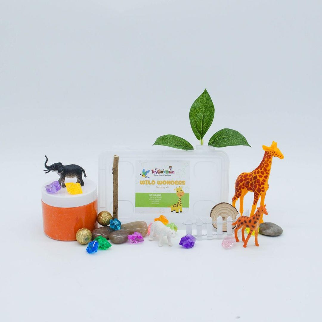 Safari Animals Sensory Play Dough Kit, Cognitive Development, Kids ...