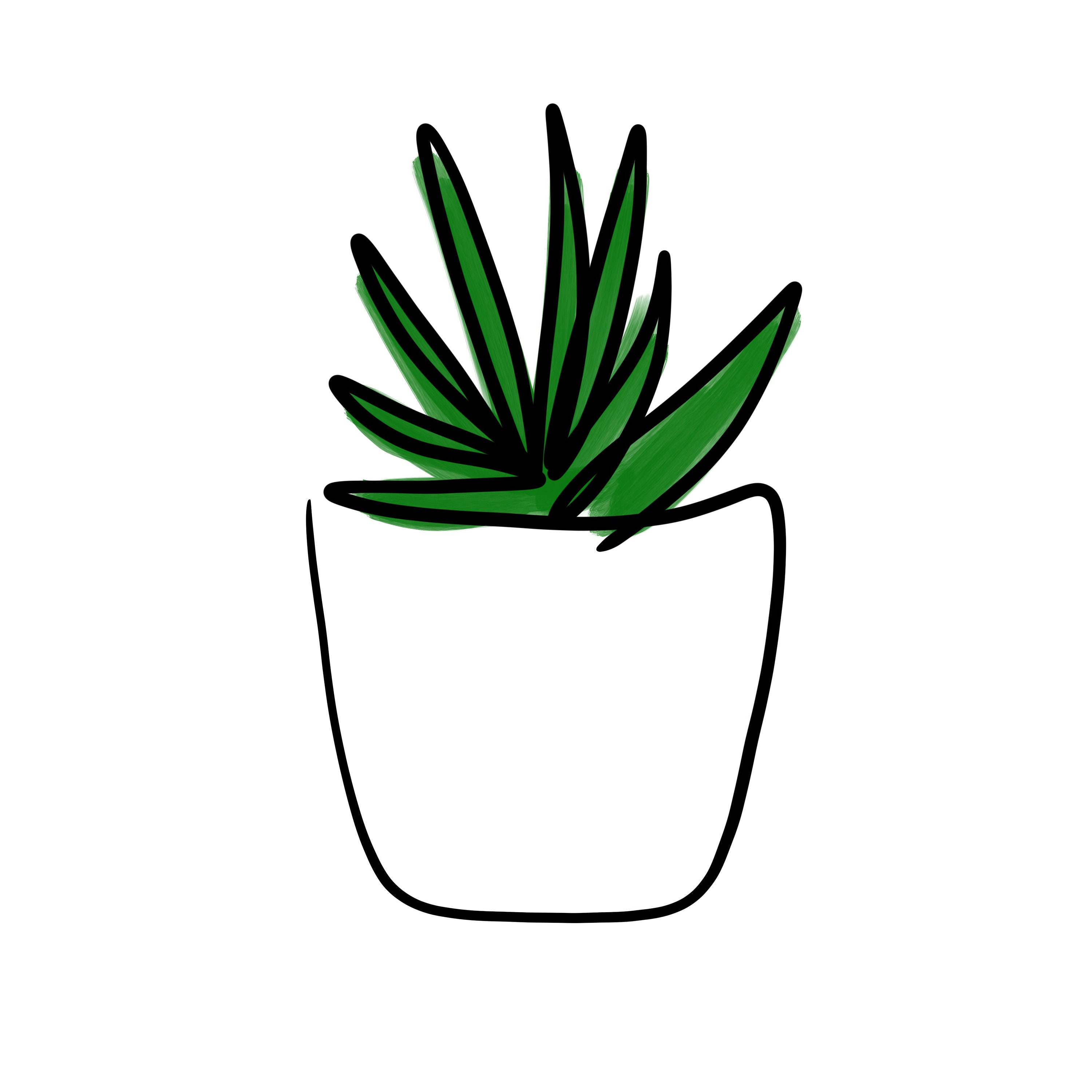 Plant Line Art Digital Download Wall Decor - Etsy