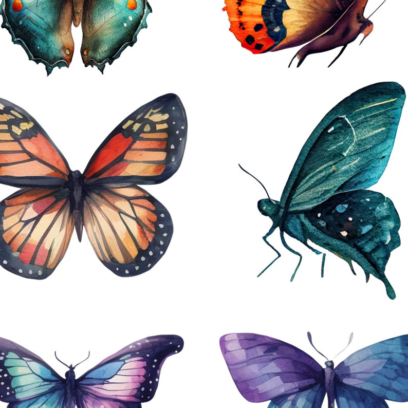 Digital Download Butterfly Sticker PNG File Bundle, Butterfly Sticker ...