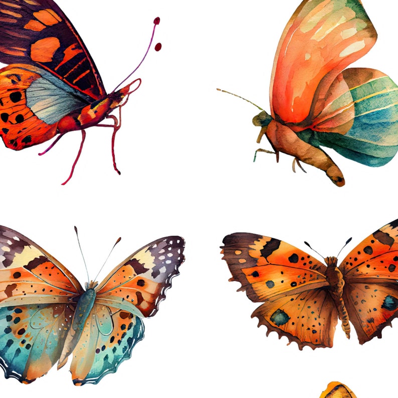Digital Download Butterfly Sticker PNG File Bundle, Butterfly Sticker ...