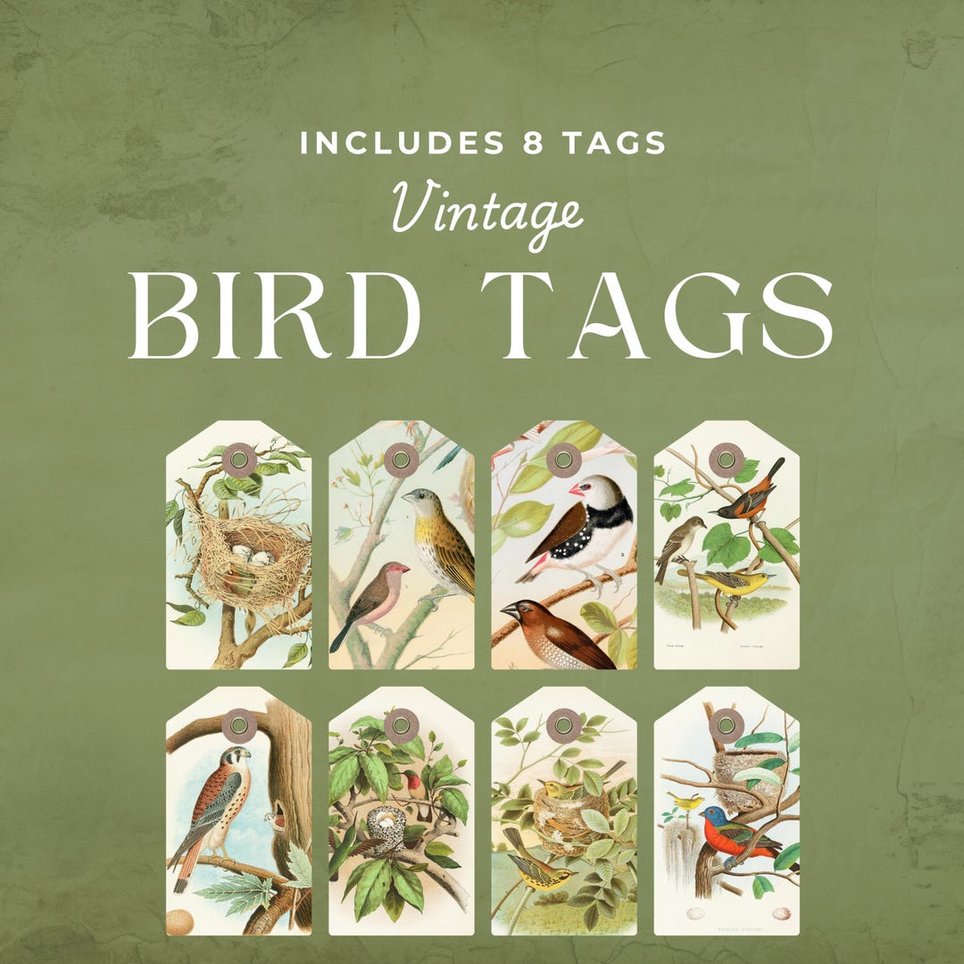 Vintage Bird Tags: Printable Ephemera, Junk Journal Supplies (PDF) - Etsy