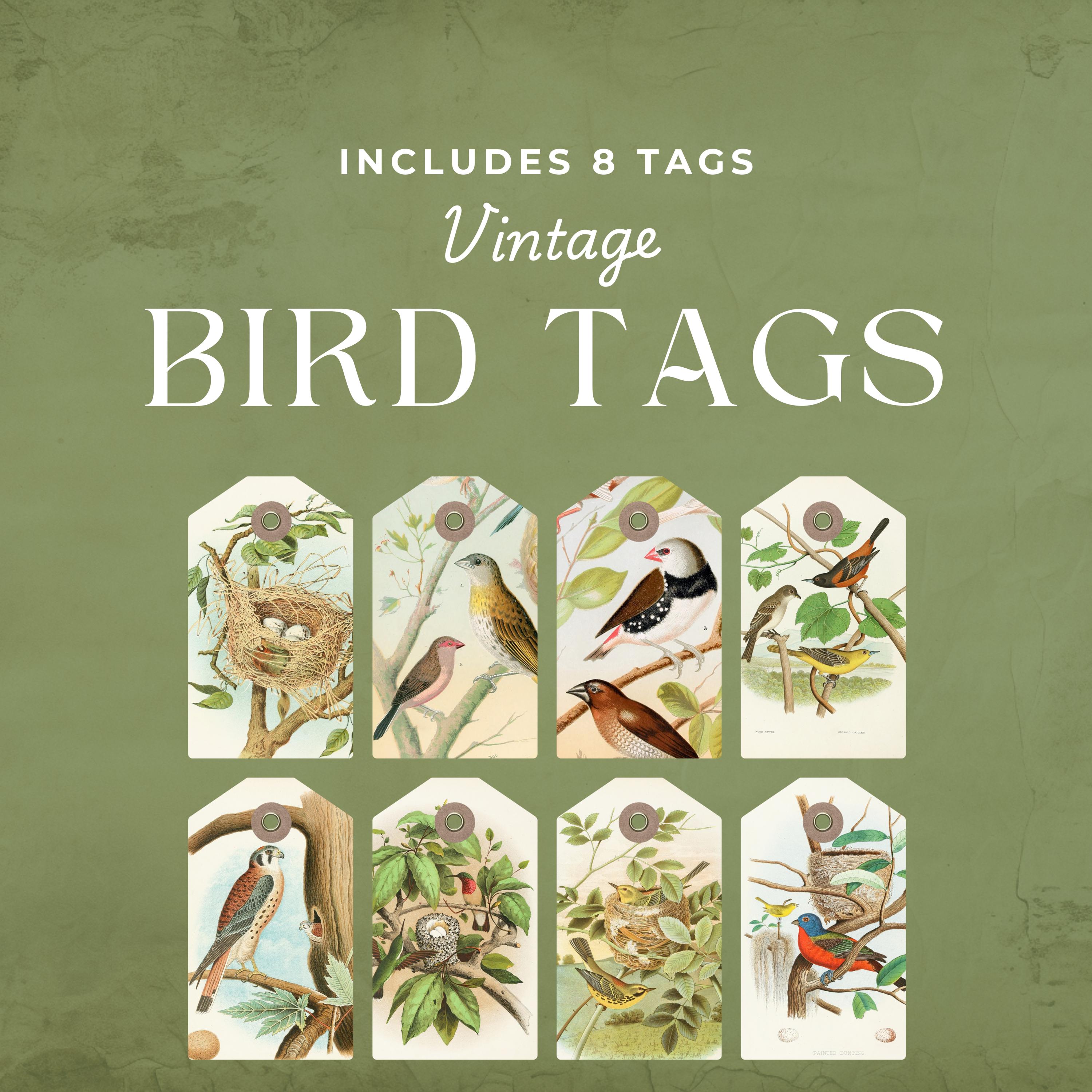 Vintage Bird Tags: Printable Ephemera, Junk Journal Supplies (PDF) - Etsy