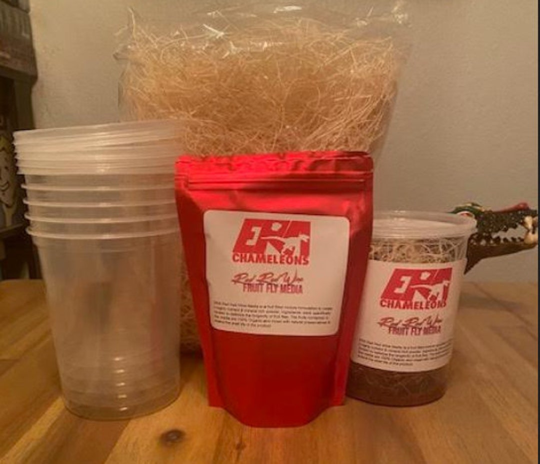 Fruit Fly Media Kit - Etsy