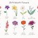 Birth Month Flowers Poster, PRINTABLE, Home Decor, Flower Artwork ...